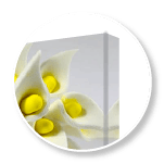 Custom Canvas Prints | Signs.com