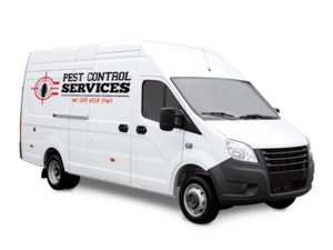 Guide to Yard Sign Sizes: Signage 101 | Signs.com