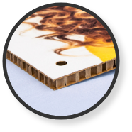 Custom Falconboard Signs | Signs.com