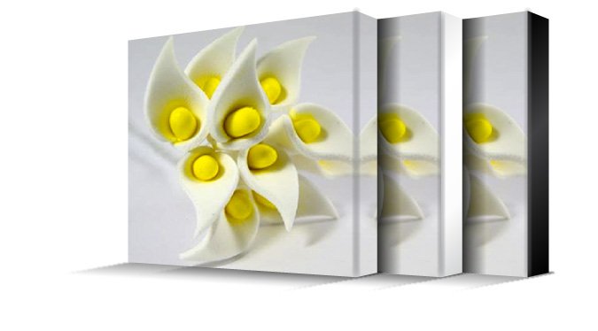 Custom Canvas Prints | Signs.com